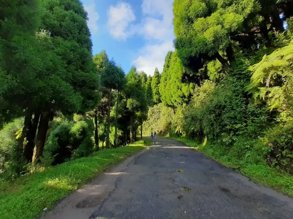 SBST Tourist DHOTREY Dhotery (Ofbit Darjeeling)